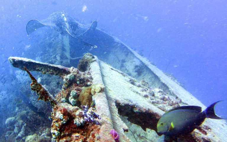 All You Need To Know About The SS Yongala Dive - aquaprodive